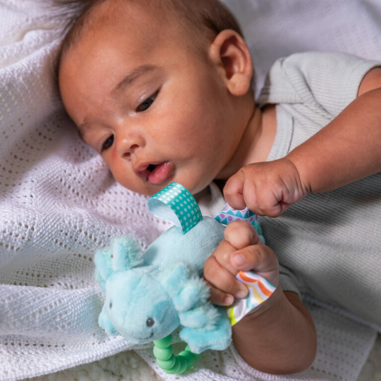 TAGGIES – Mary Meyer Stuffed Toys